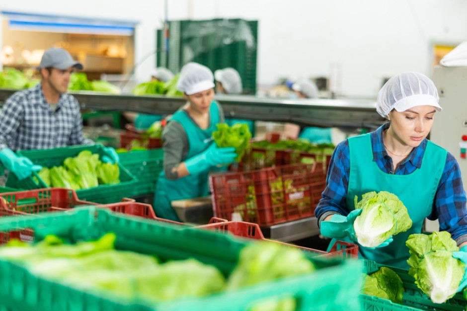 Kolejna koncentracja na rynku spożywczym. UOKiK analizuje wniosek ...